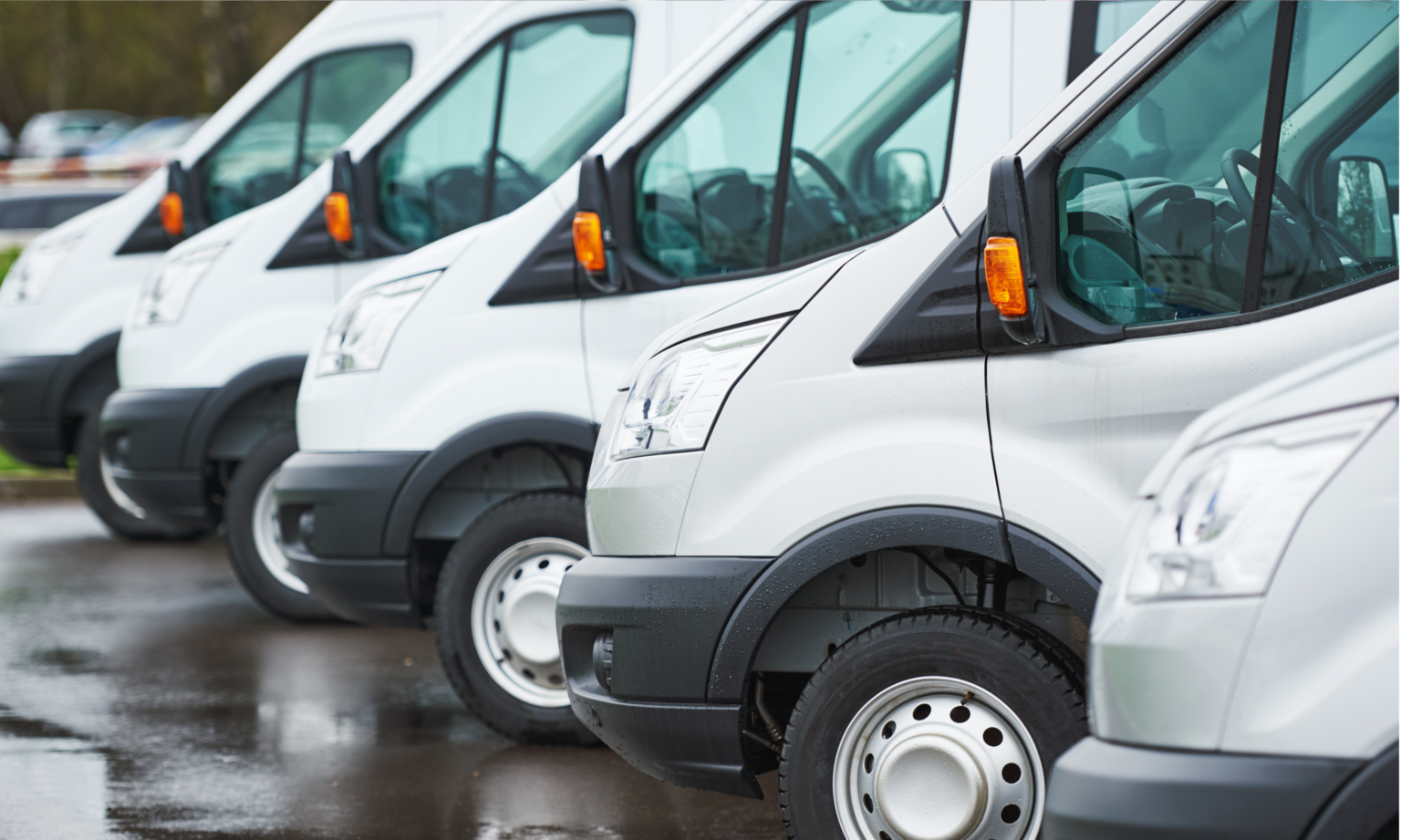 Home 2025 - Safeway Transportation Services