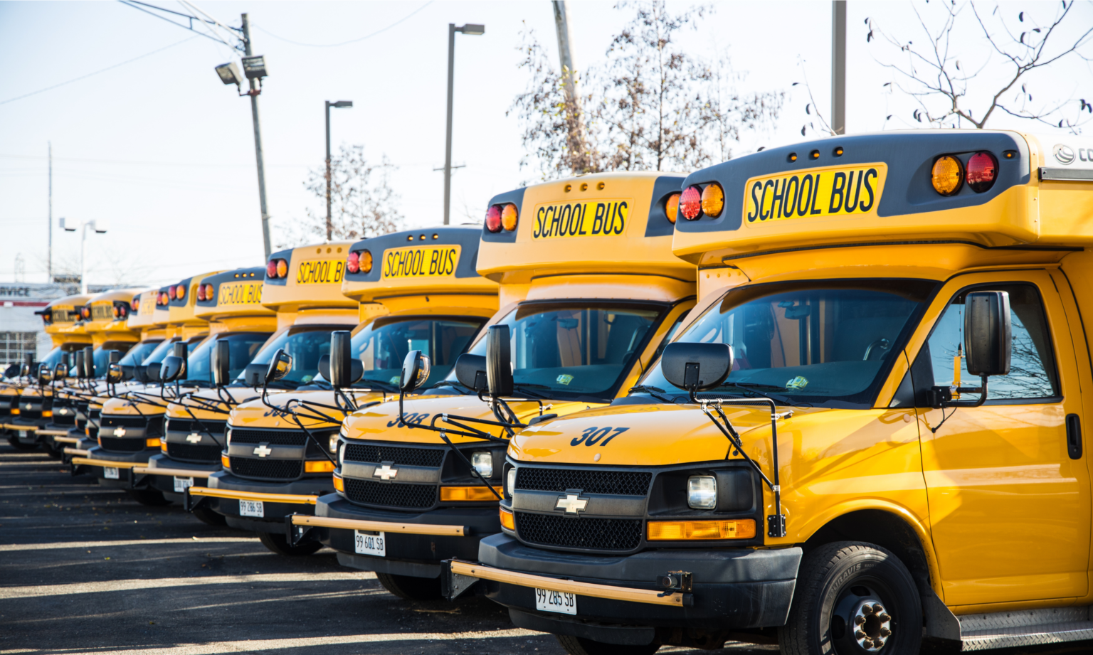 Home 2025 - Safeway Transportation Services